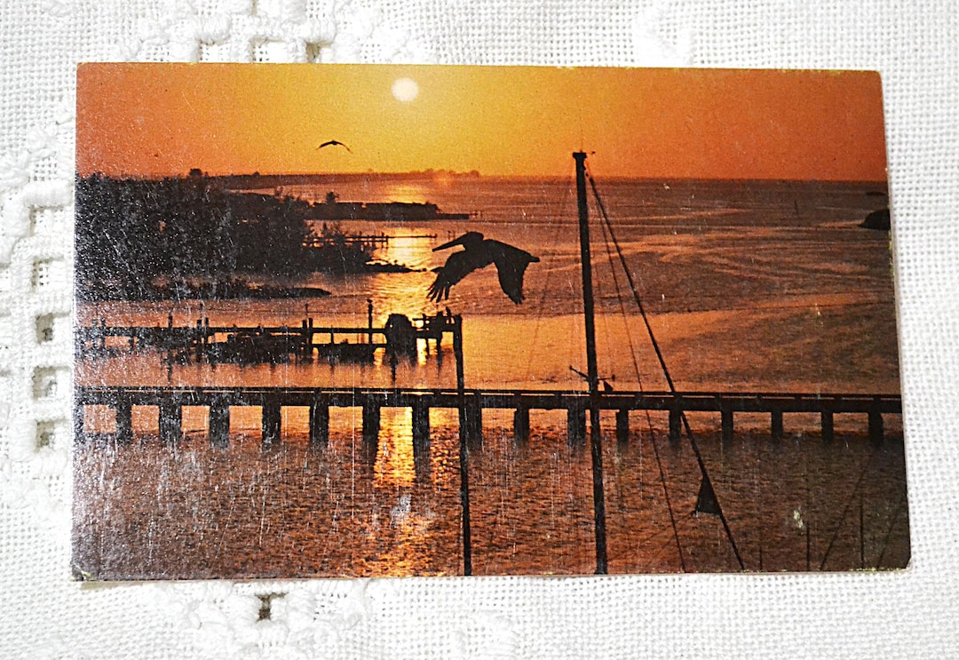 Vintage FLORIDA KEYS Postcard Faro Blanco Marine Resort Souvenir Post ...