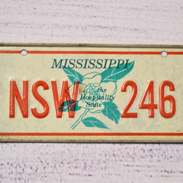 Mini License Plate - Etsy