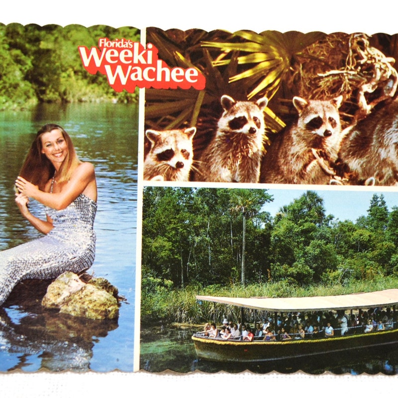 Weeki Wachee - Etsy