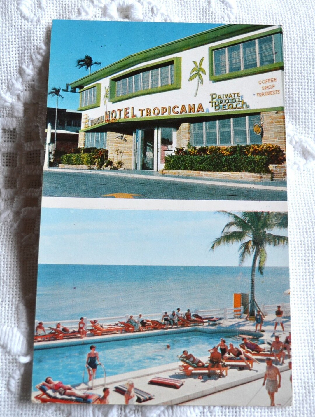 Vintage MIAMI BEACH Postcard Tropicana Motel Florida Souvenir Used Post ...