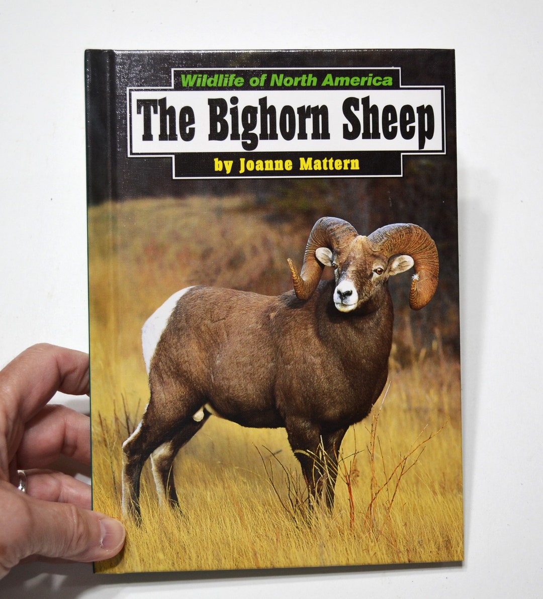 The Bighorn Sheep by Joanne Mattern 1999 Hardcover Reference Book ...