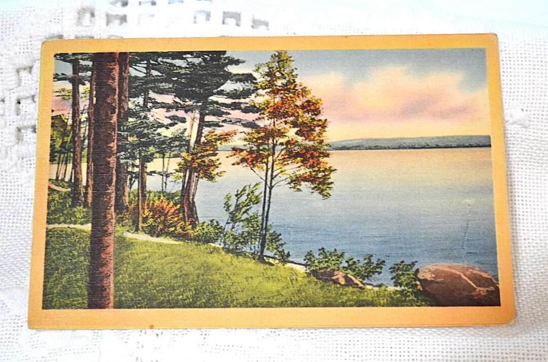 Vintage WATER SCENE Postcard River Lake Nature Trees Americana Vacation ...