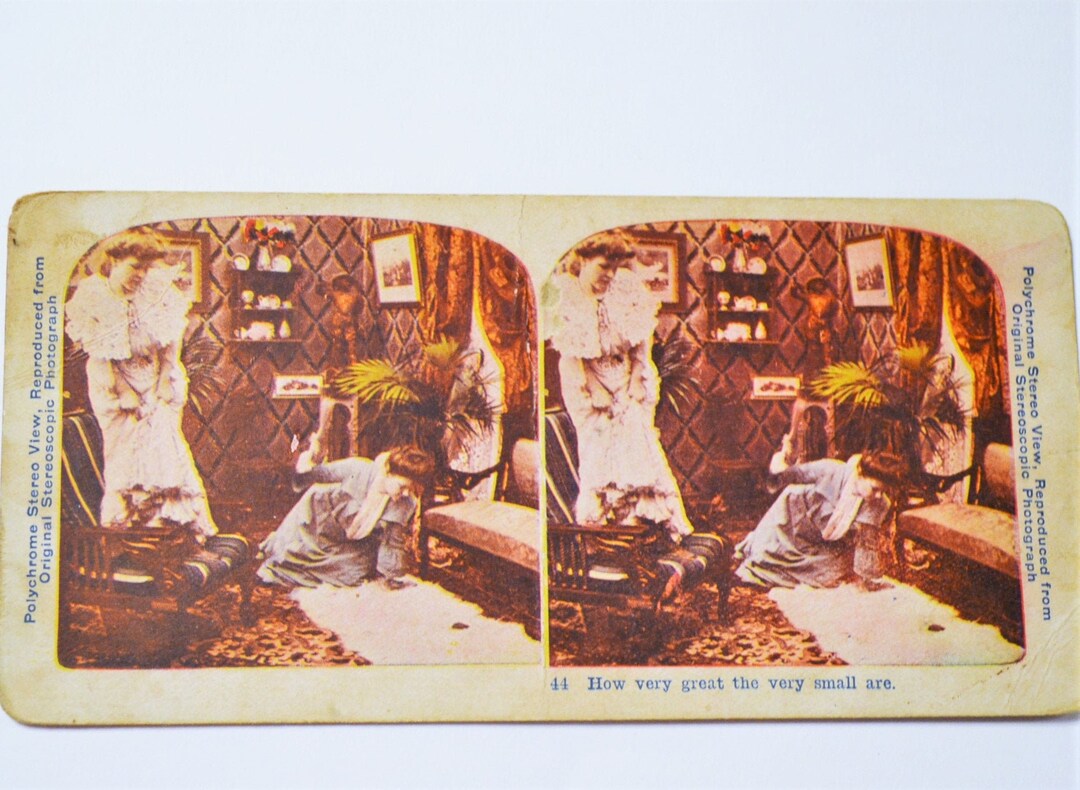 Vintage Stereoscope Card How Very Great the Very Small Are Women Mouse ...
