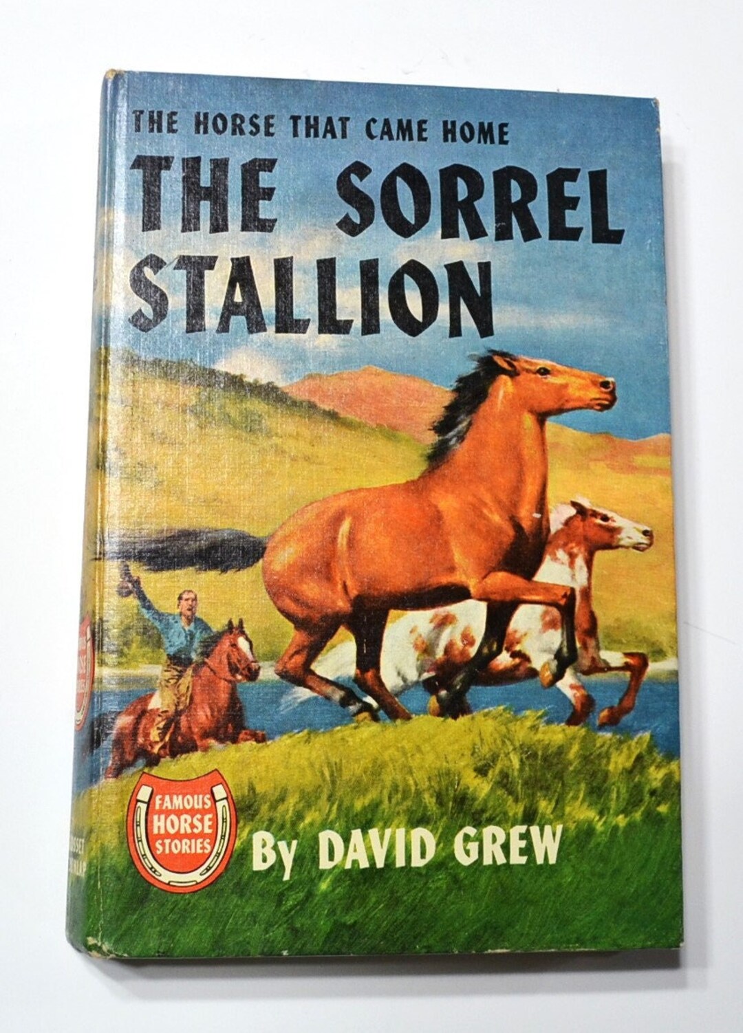 The Sorrell Stallion the Horse That Came Home by David Grew Illustrated ...