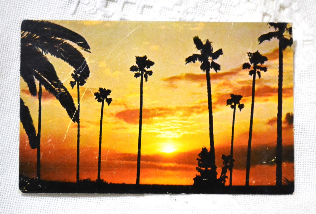 Vintage California Postcard: Sunset Palm Trees, Southern California ...