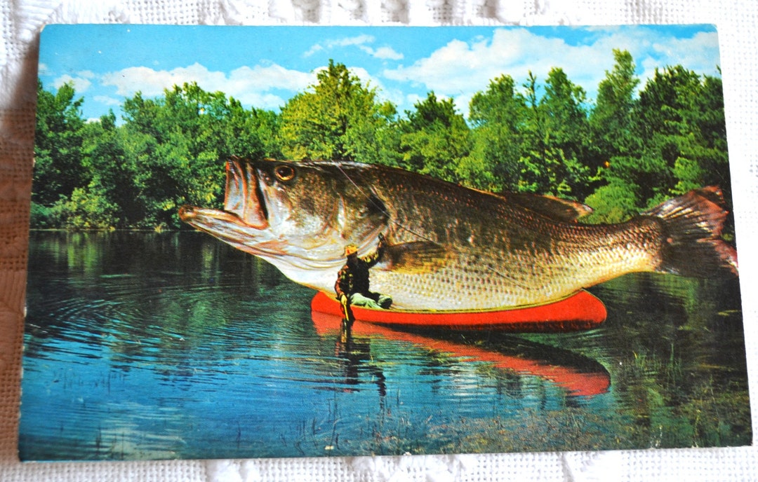 Vintage FLORIDA Postcard Fishing Big One Got Away Souvenir Used Post ...