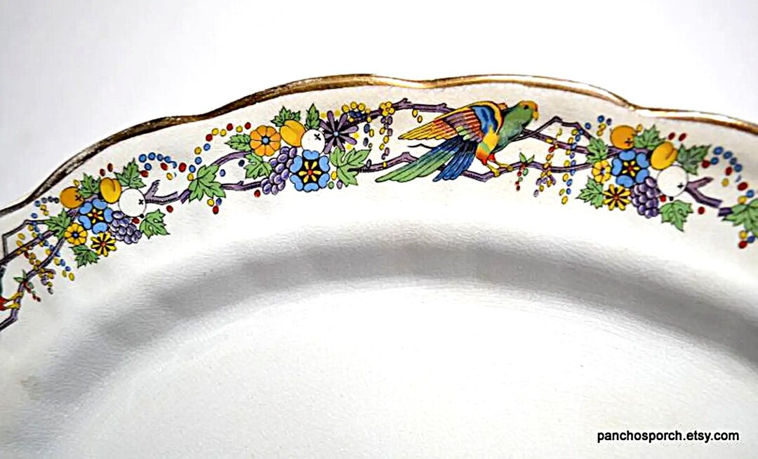 Vintage AG Harley Jones Oval Platter: Parrot & Floral Staffordshire ...