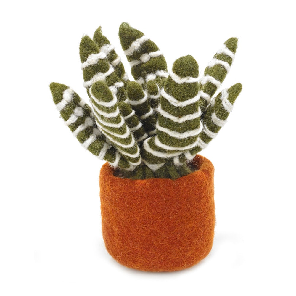 Cactus Collection Needle Felted Cacti Fake Plants - Etsy UK