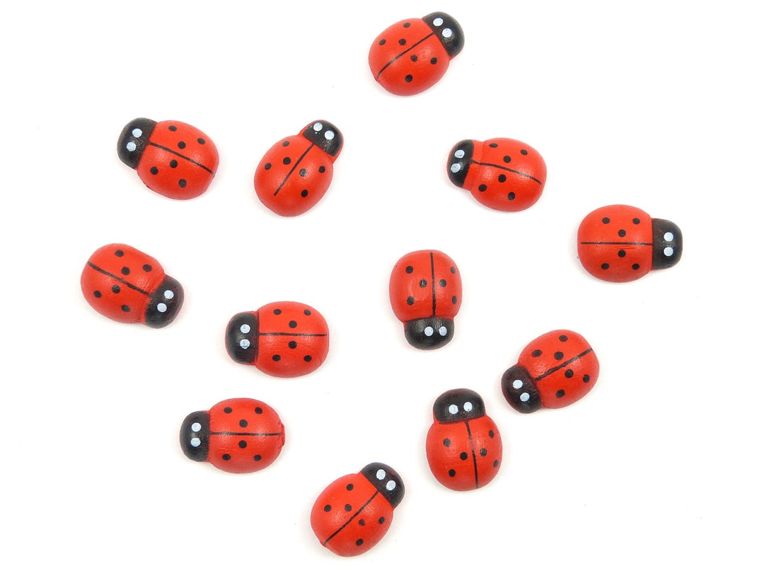 Ladybird / Ladybug Fridge Magnet Set of 4 With Gift Box. Teachers Gift ...