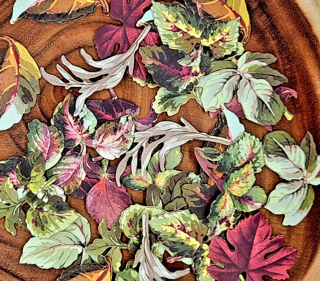 25pc Anna Griffin 3D Fall Foliage Leaves Sticker Embellishments - Etsy