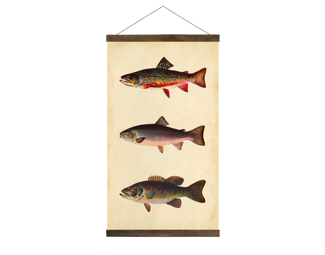 Frame Included! 30"x20", Vintage Three Fish Art - Rip-proof Material ...