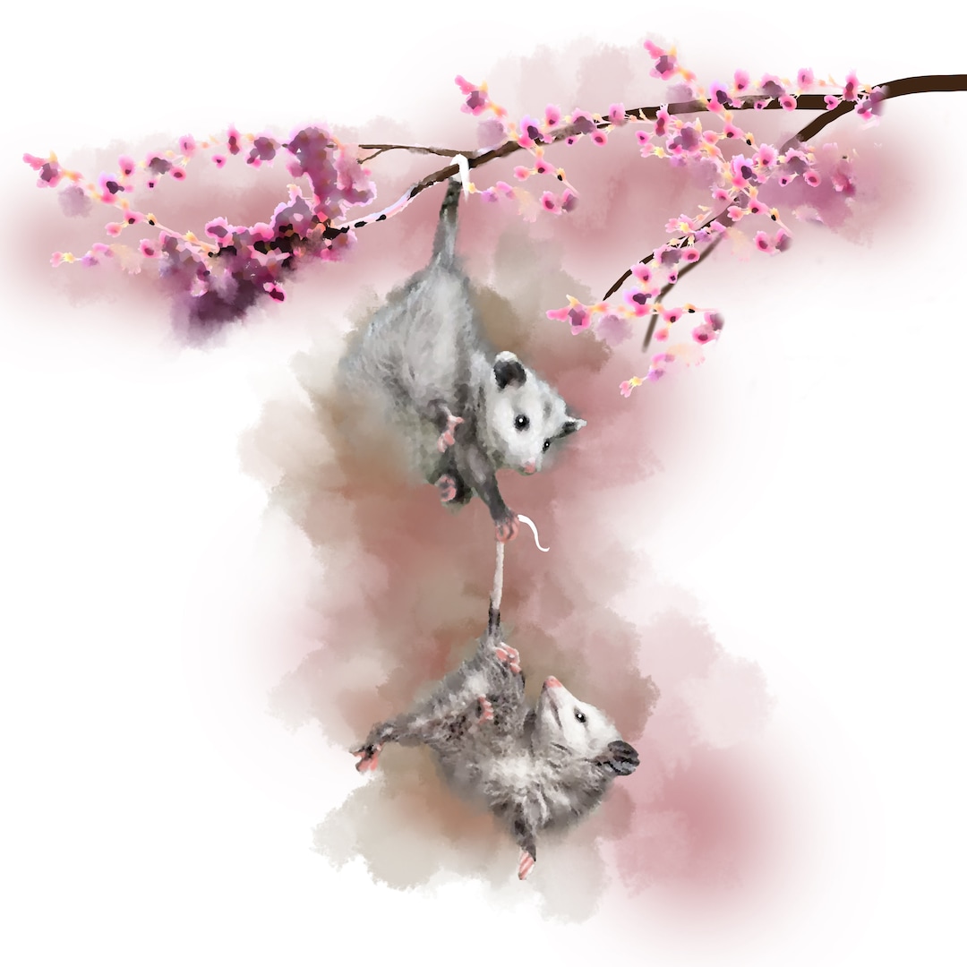 Set of 2 Possum Decor Wall Art, Possum Wall Art, Possum Digital Prints ...