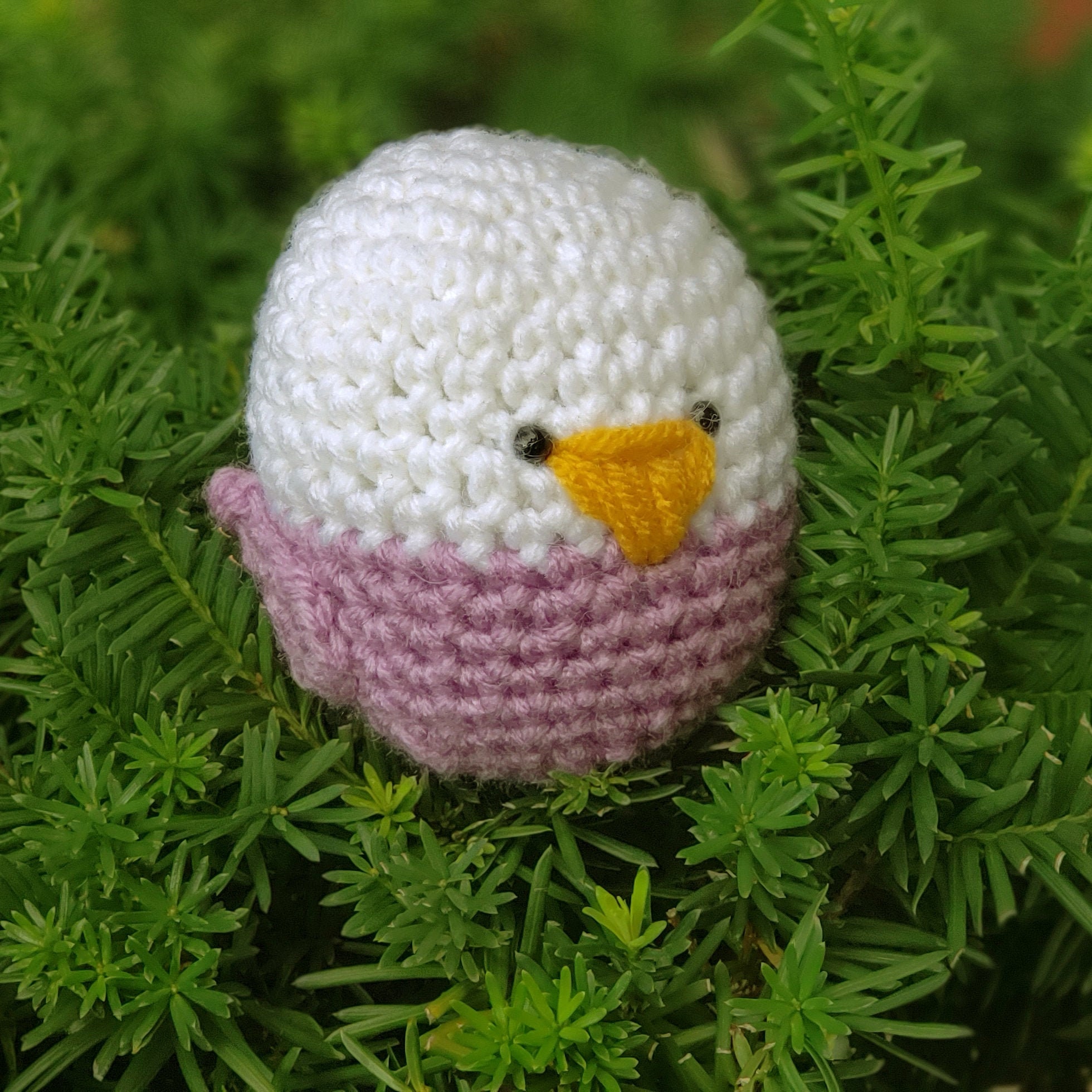 Purple Budgie Parakeet Plushie Lavender Lilac Handmade Bird - Etsy Denmark