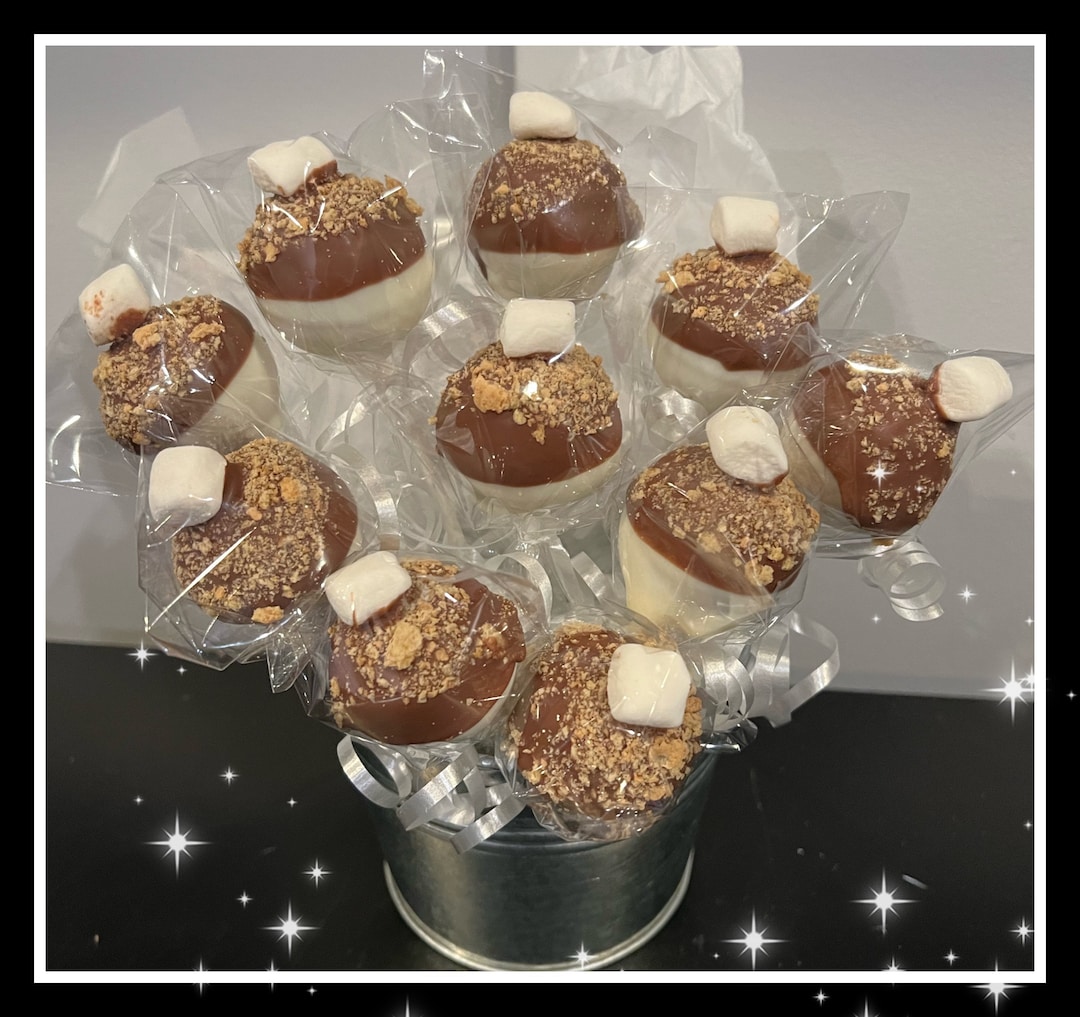 S'mores Cake Pops: Gourmet Chocolate, Graham Cracker, Marshmallow (24 ...