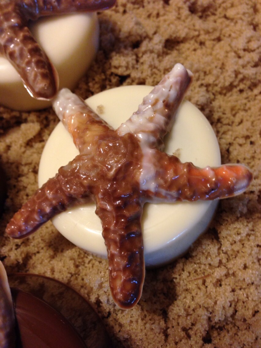 Seashell Beach Theme Chocolate Covered Shimmering Oroes - Etsy
