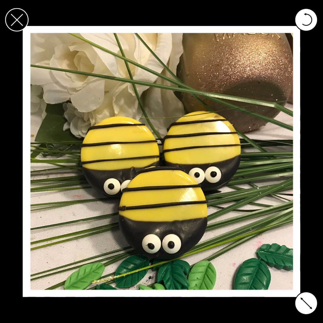 Bumble Bee Chocolate Covered Oreos: Party Favors, Set of 12 - Etsy