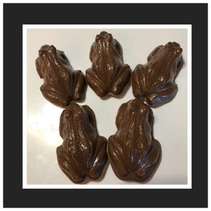 Frog Chocolates Solid Chocolate Frog Favors - Etsy