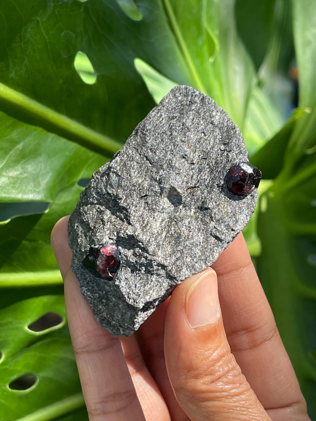 Almandine Garnets in Schist Matrix (wrangell Island, Alaska) - Etsy