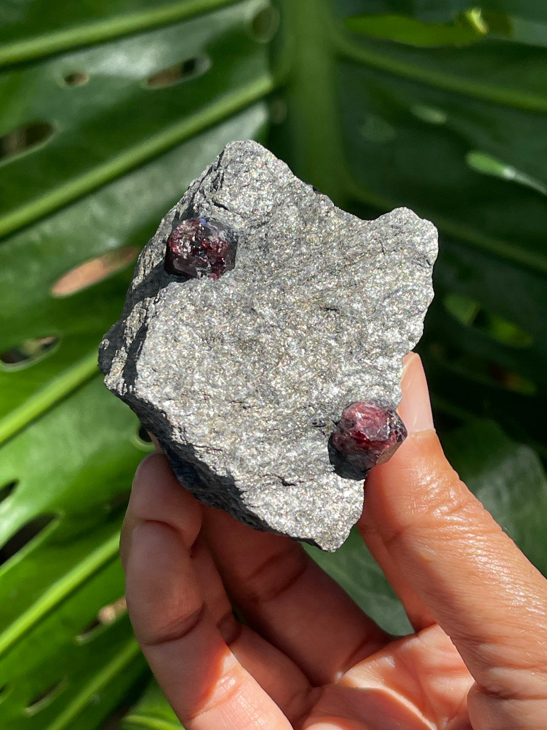 Almandine Garnets in Schist Matrix wrangell Island, Alaska - Etsy