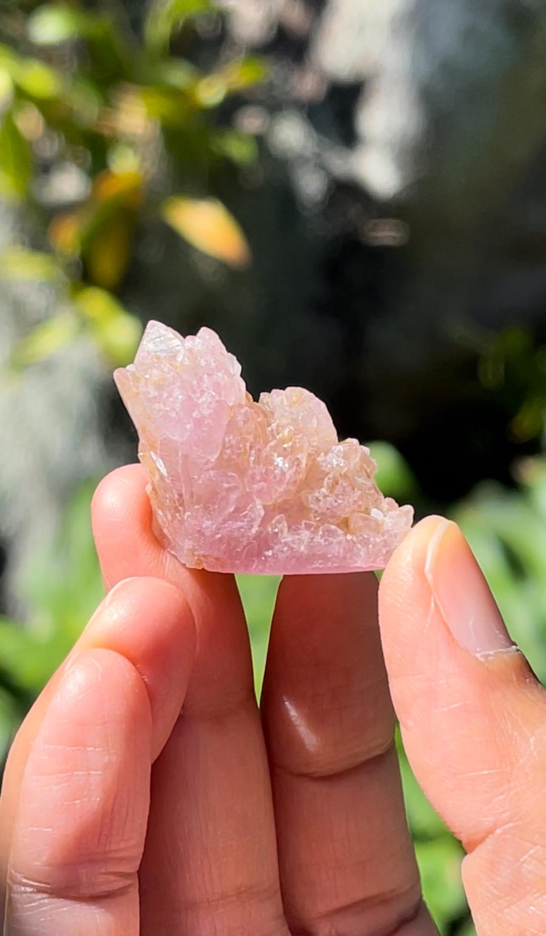 Rare Canga Rosa, Elestial Rose Quartz (medina, Aracuai, Brazil) - Etsy