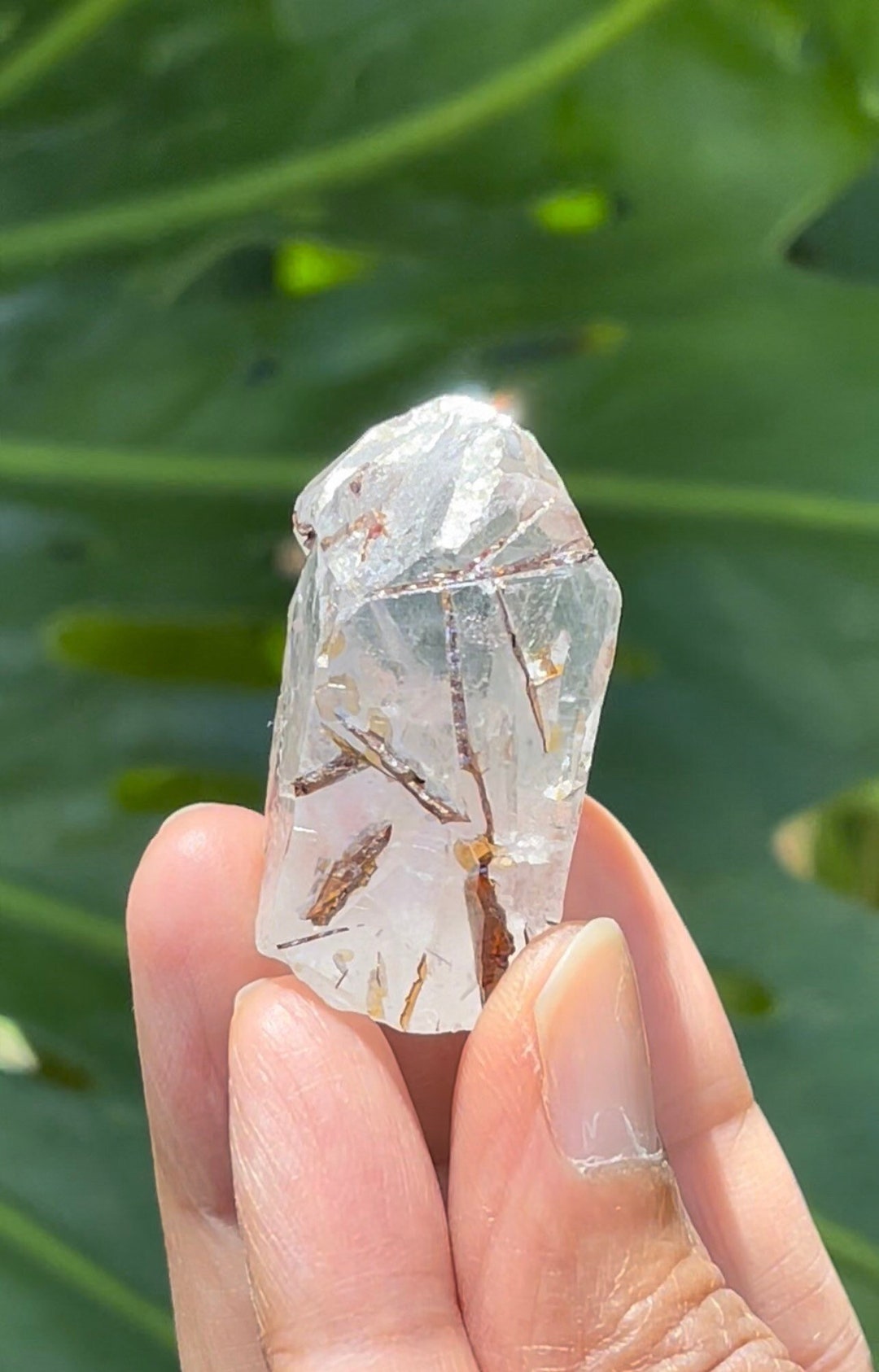 Red Brookite in Quartz minas Gerais Brazil - Etsy