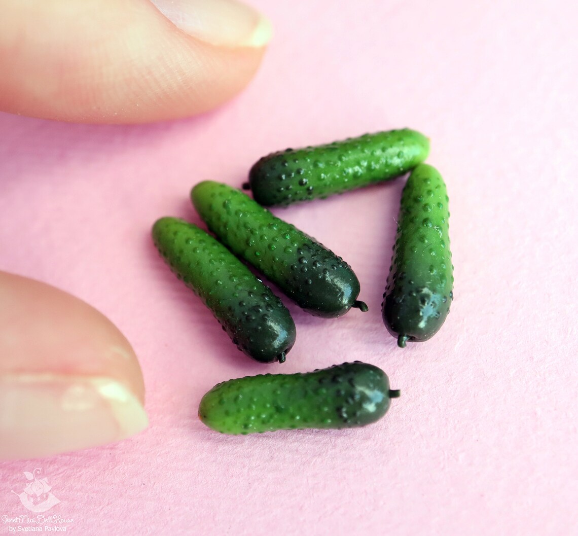Miniature cucumbers 5 pieces. Handmade polymer clay. | Etsy