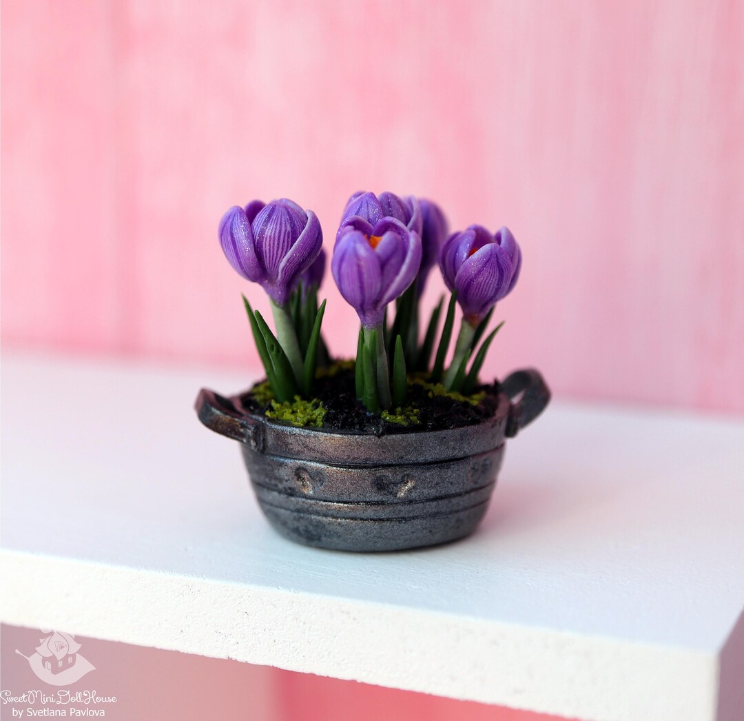 Miniature Crocuses in a Bowl. Mini Plant. Garden. Dollhouse Plant. the ...