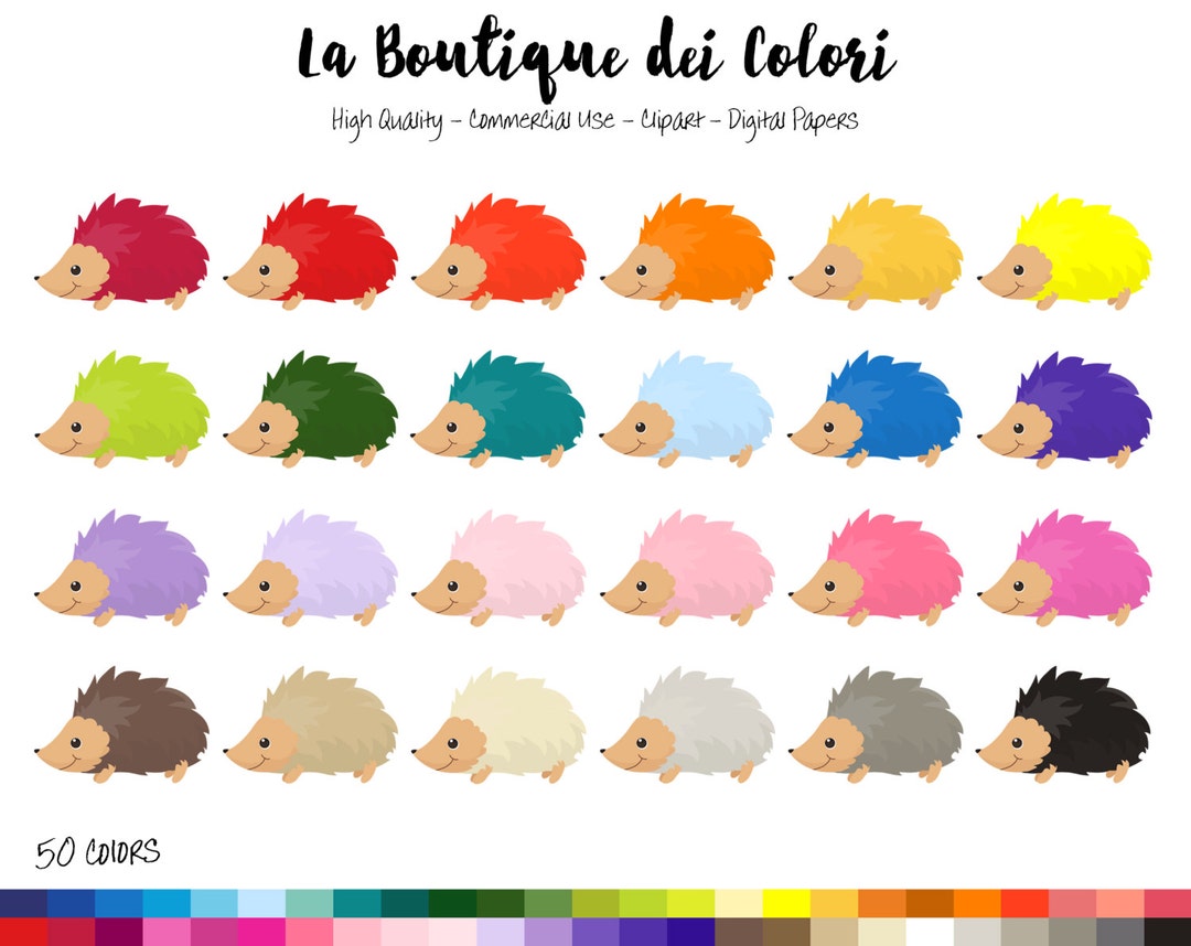 50 Rainbow Hedgehog Clipart Cute Nature Digital Illustrations - Etsy UK