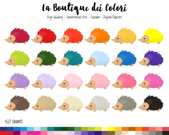 50 Rainbow Hedgehog Clipart, Cute Nature Digital illustrations PNG ...