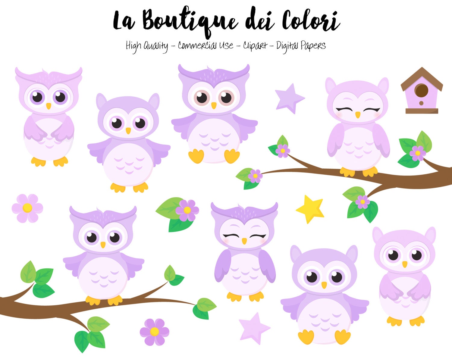 Purple Baby Owls Clipart Cute Graphics PNG Birds animals | Etsy