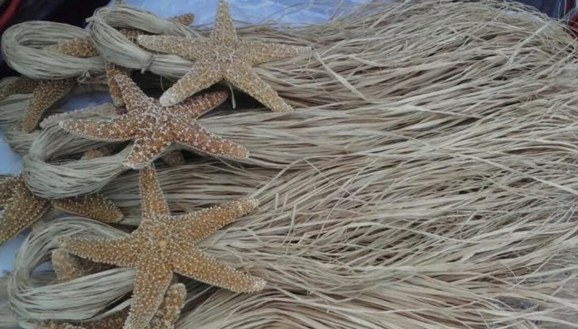 Beach Wedding Starfish Chair Decorations Starfish Chair Decorations and ...