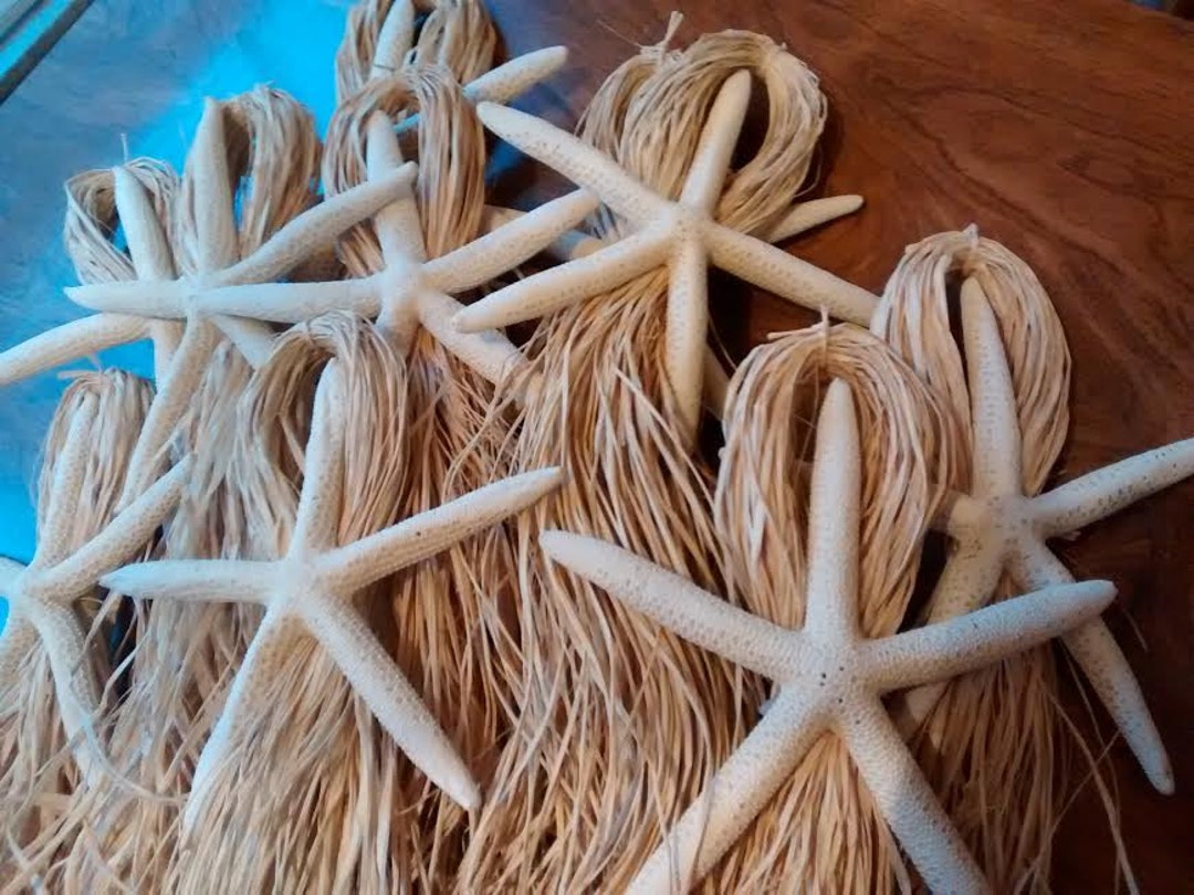 Beach Wedding White Starfish Chair Decorations Starfish Chair ...