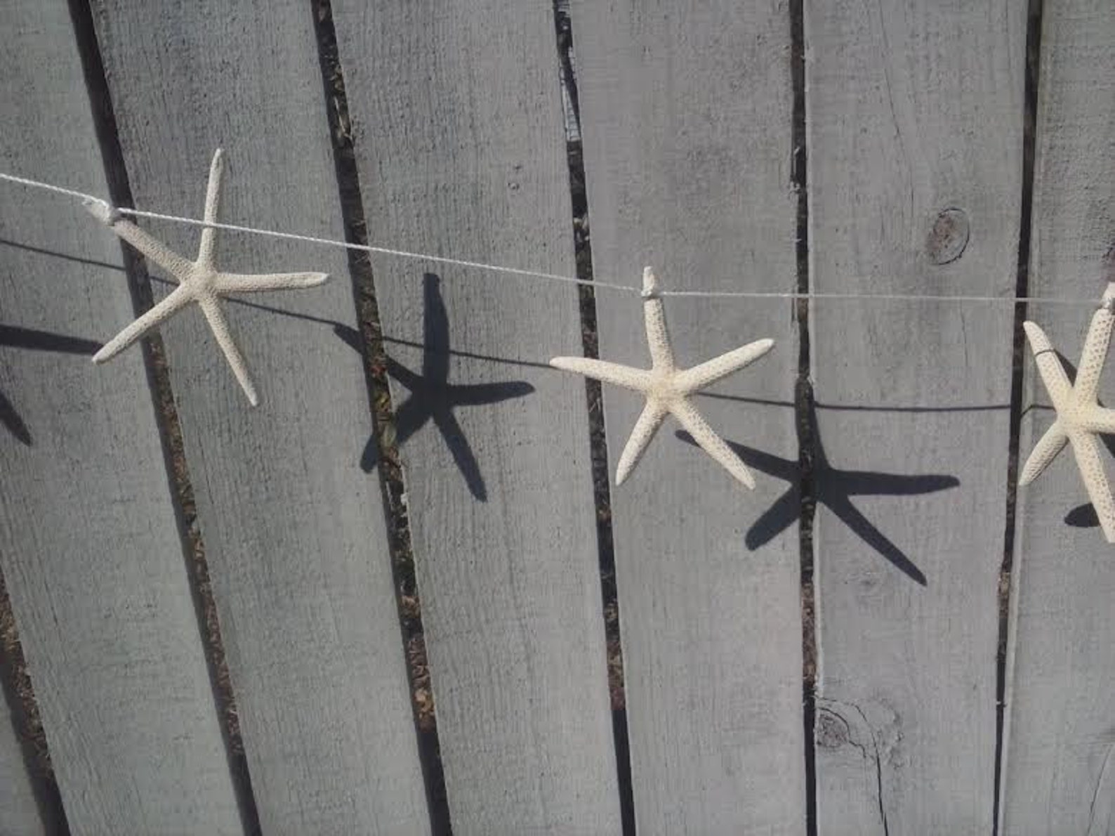 Real Starfish Garland and Strands Beach Weddings/beach - Etsy