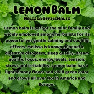 Over the Moon Organic Herbal Tea 1oz. - Etsy