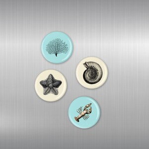 Sea Life Seashell Fridge Magnets Beach House Kitchen Decor - Etsy