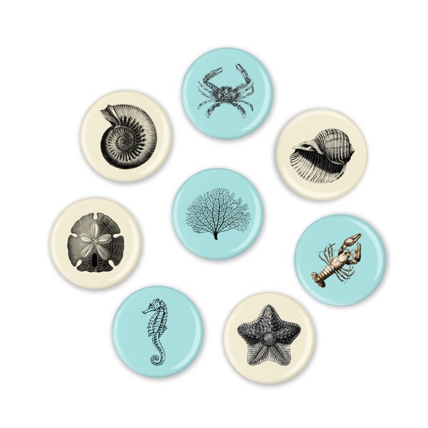 Sea Life Magnets - Etsy