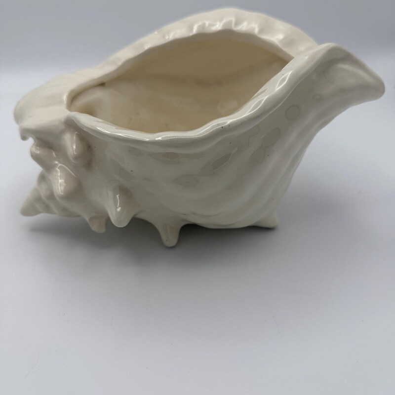 Conch Shell Planter - Etsy