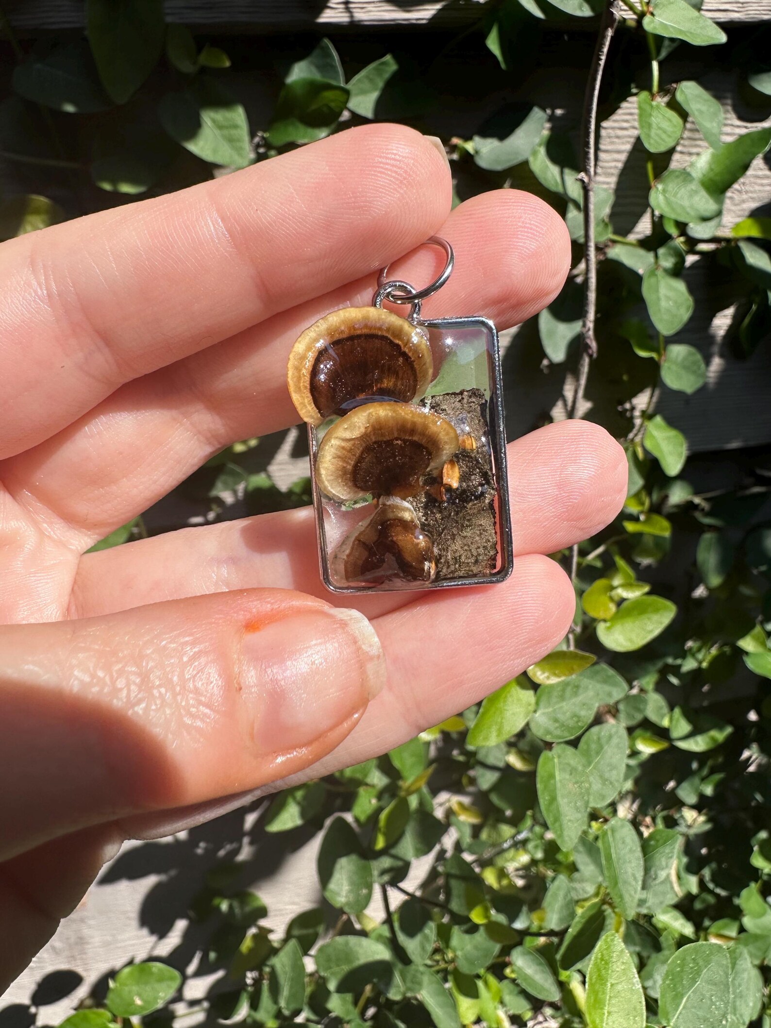 Real Foraged Polypore Mushrooms Botanical Nature Terrarium 3D Necklace ...