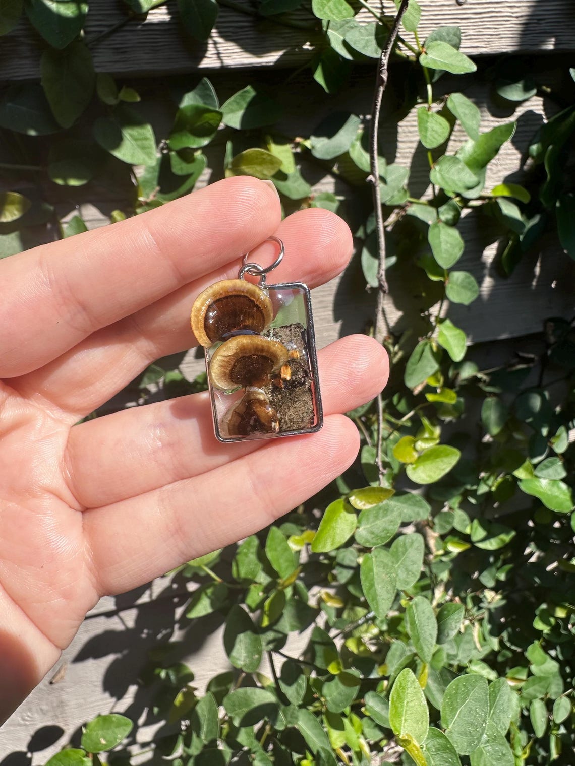 Real Foraged Polypore Mushrooms Botanical Nature Terrarium 3D Necklace ...