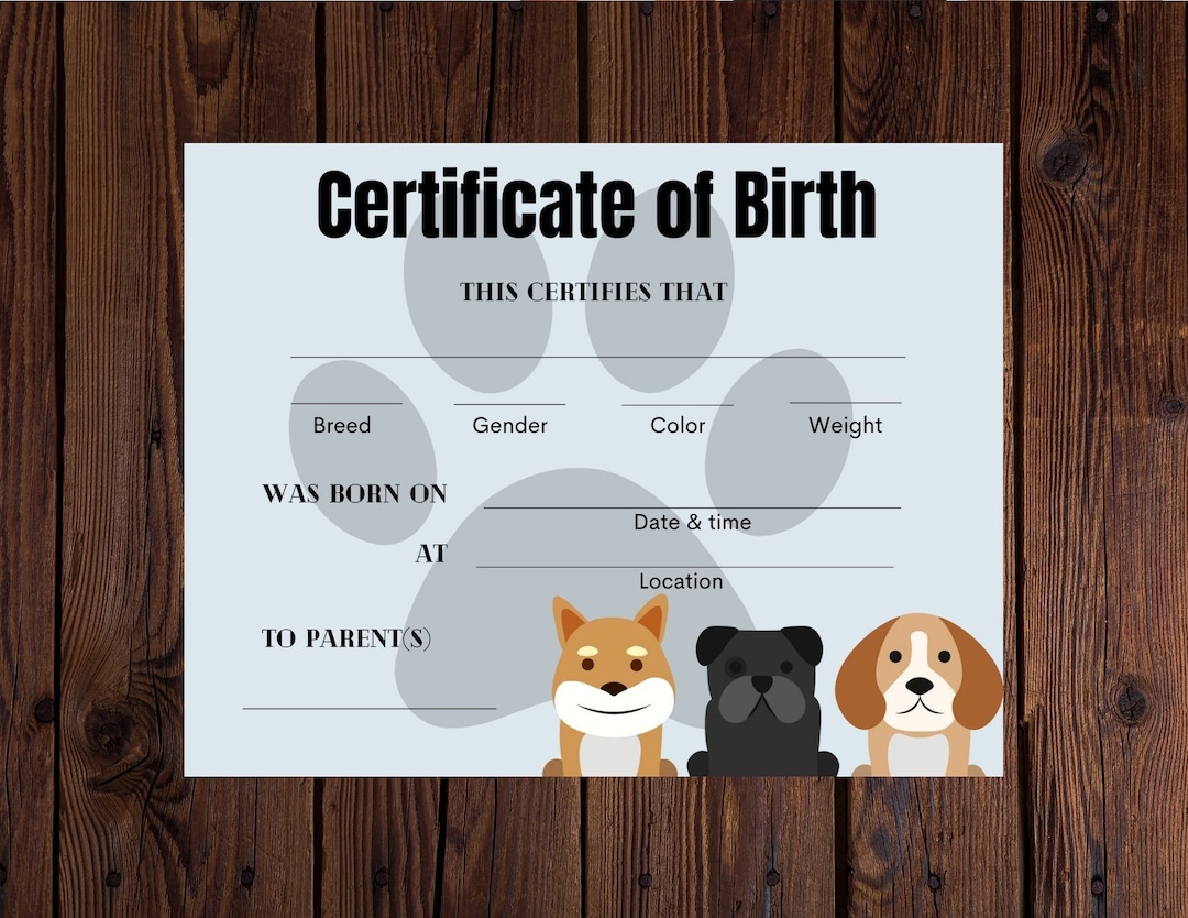 Certificado de nacimiento de perro, mascota, gato, descarga instantánea ...