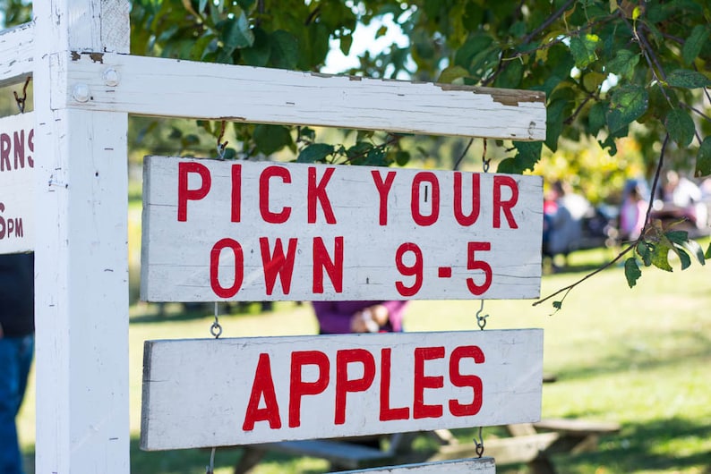 Pick Your Own Apples Sign, Russell Orchards, Newburyport, Ma, Fall ...