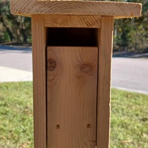 Gilwood Slot Box Bluebird House - Etsy