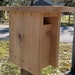 Gilwood Slot Box Bluebird House - Etsy