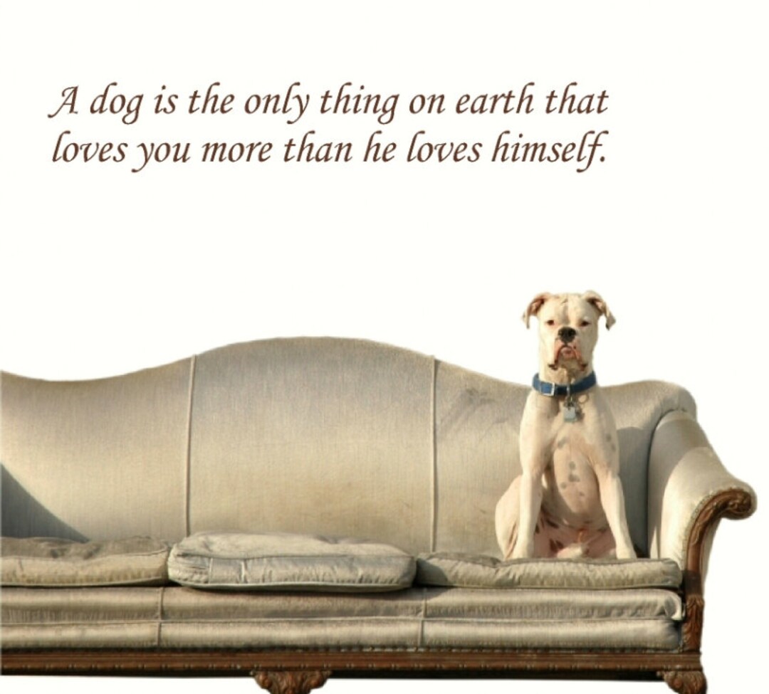 Dog Pet Wall Decal - Vinyl Lettering - Dog Wall Quote - Wall Decor ...