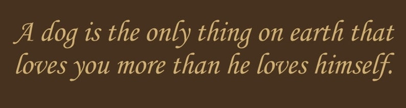 Dog Pet Wall Decal Vinyl Lettering Dog Wall Quote Wall - Etsy