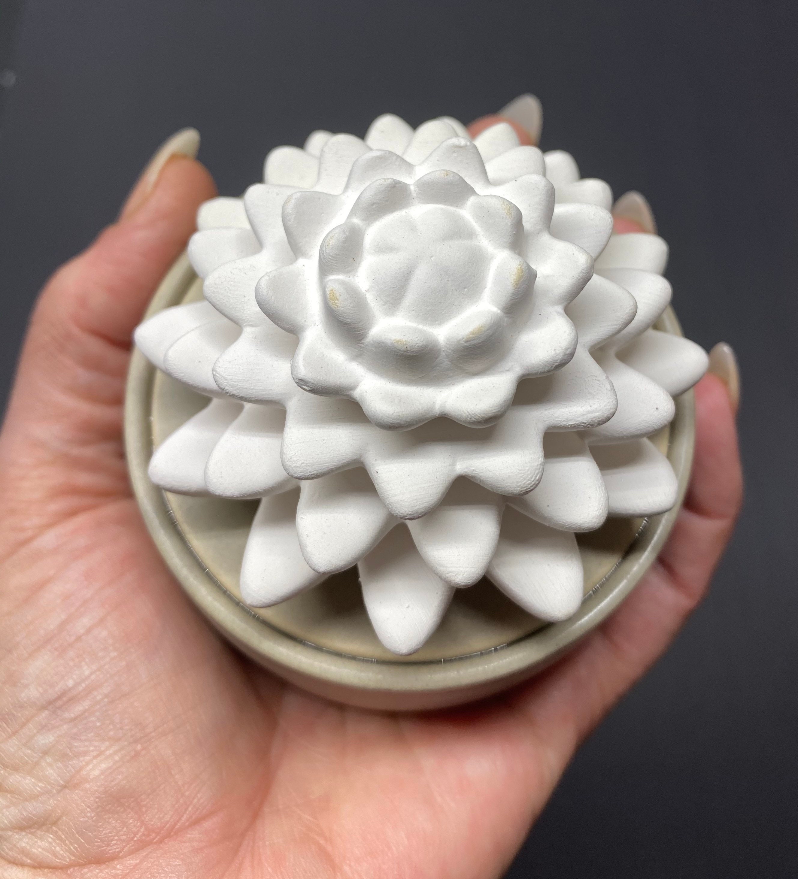 Diffuser, succulent, fragrance, essential oil, ceramic diffuser, smoke ...