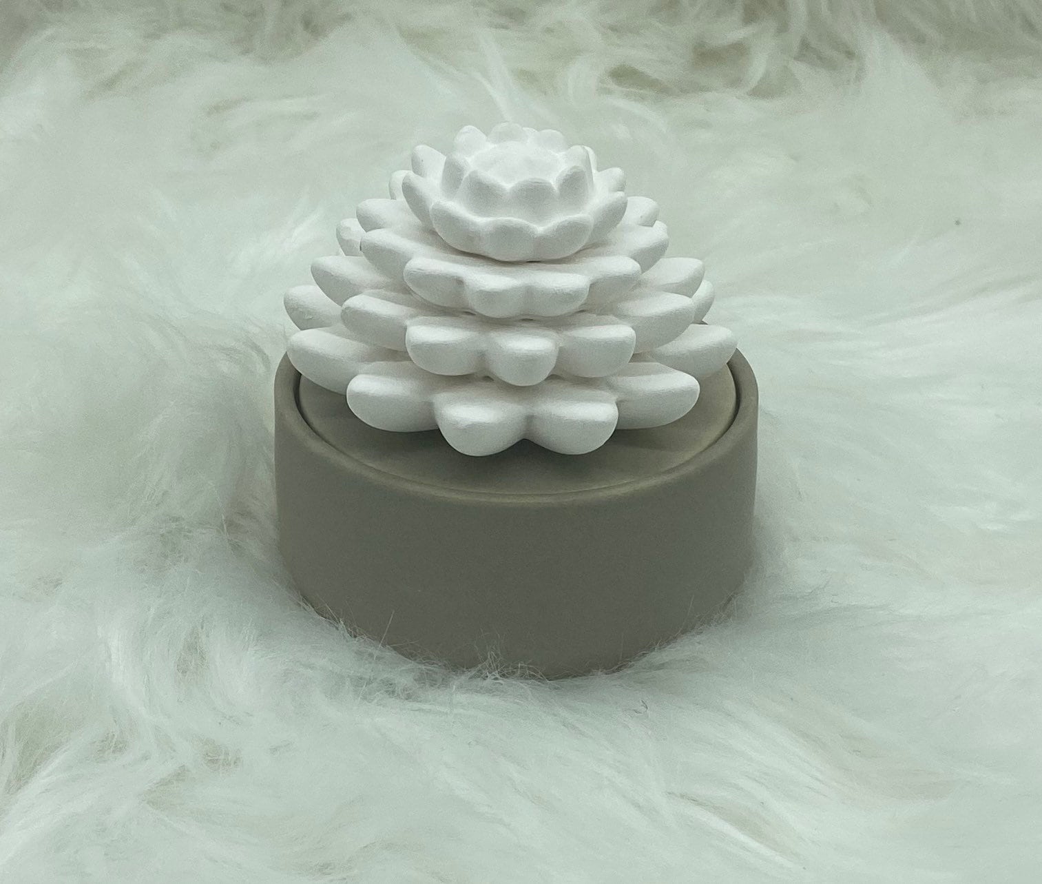 Diffuser, succulent, fragrance, essential oil, ceramic diffuser, smoke ...