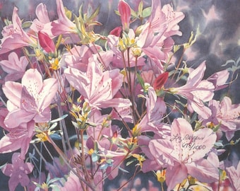 Azalea Burst Watercolor Fine Art Print Azelea Art Floral Decor - Etsy