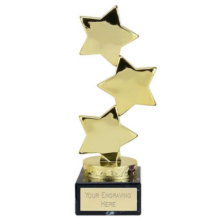 Personalised Engraved Star Trophy Award FREE ENGRAVING - Etsy