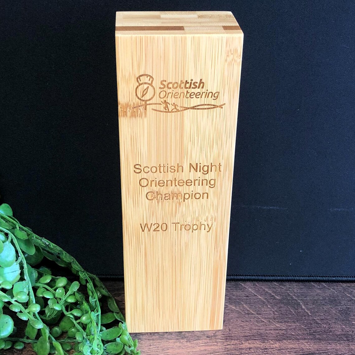 Personalised Corporate Awards - Sustainable Bamboo Award Trophy ...